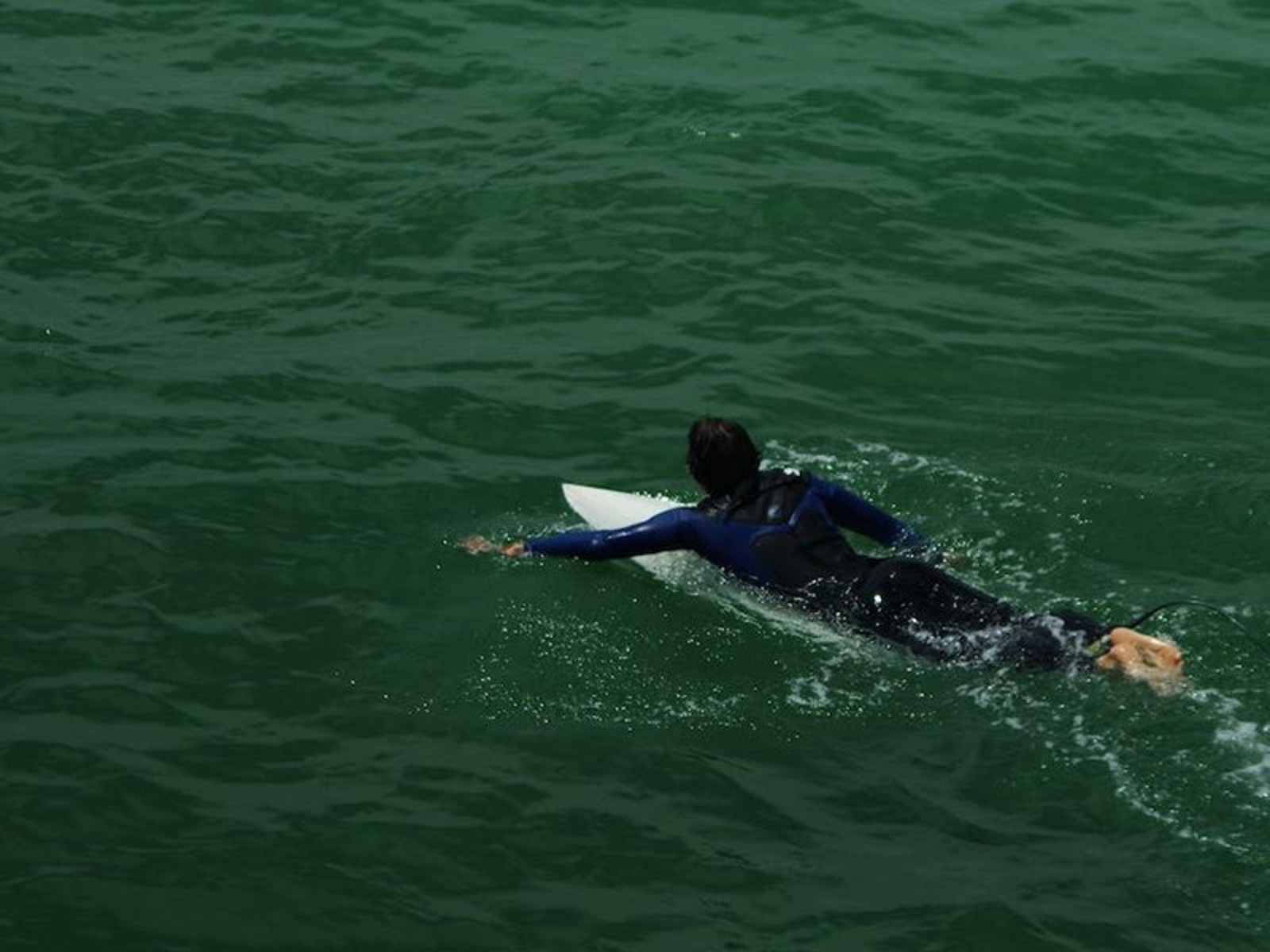 How to Duck Dive a Surfboard Guide | Outer Reef Surf School