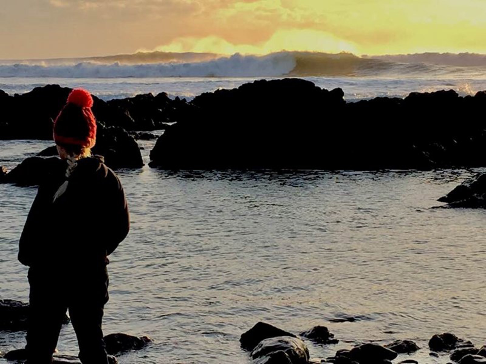 Pembrokeshire Rock Pooling | Family Activities Wales - Outer Reef